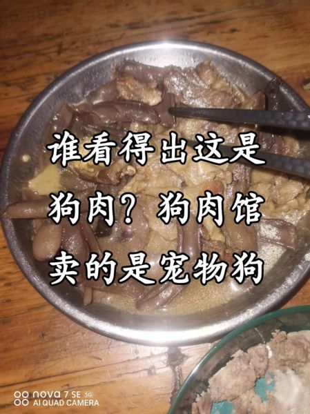 吃狗肉倒霉三年是真的吗_民间说法科学解释-第3张图片-山城妙识 吃狗肉倒霉三年是真的吗_民间说法科学解释-第3张图片-山城妙识