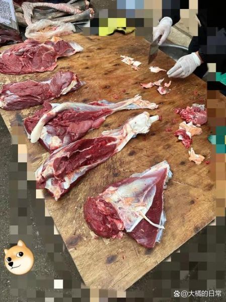 云南鸵鸟肉事件真相_鸵鸟肉能吃吗-第2张图片-山城妙识 云南鸵鸟肉事件真相_鸵鸟肉能吃吗-第2张图片-山城妙识