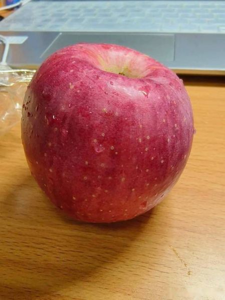 孕妇低糖水果有哪些_孕妇控糖吃什么水果好-第3张图片-山城妙识