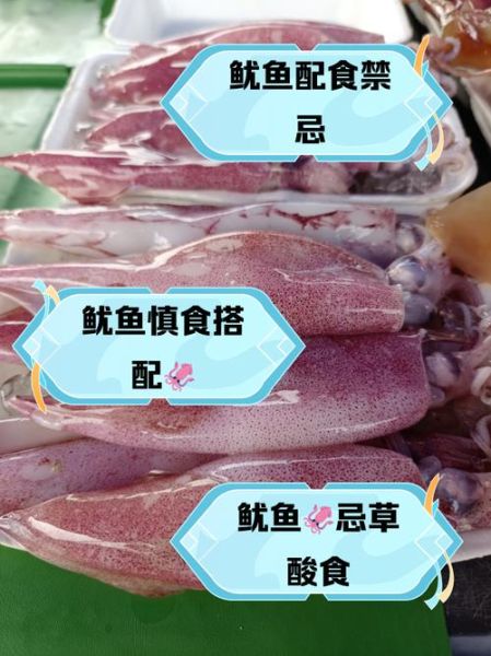 吃鱿鱼不能和什么一起吃_吃鱿鱼的相克食物有哪些-第2张图片-山城妙识