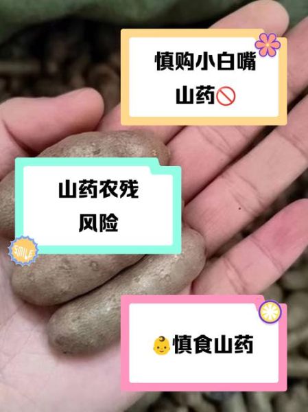 山药沾白糖吃了会死吗_一百天自死真相-第3张图片-山城妙识 山药沾白糖吃了会死吗_一百天自死真相-第3张图片-山城妙识