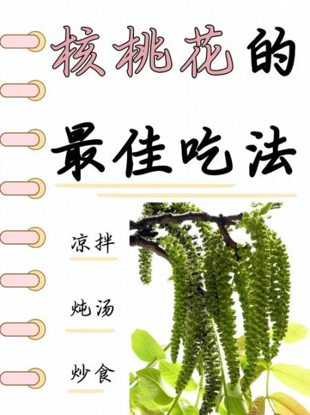 新鲜核桃花怎么吃_核桃花有什么营养价值-第1张图片-山城妙识 新鲜核桃花怎么吃_核桃花有什么营养价值-第1张图片-山城妙识