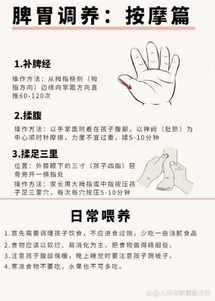 怎样调理脾胃_脾胃虚弱的日常调理方法-第3张图片-山城妙识 怎样调理脾胃_脾胃虚弱的日常调理方法-第3张图片-山城妙识