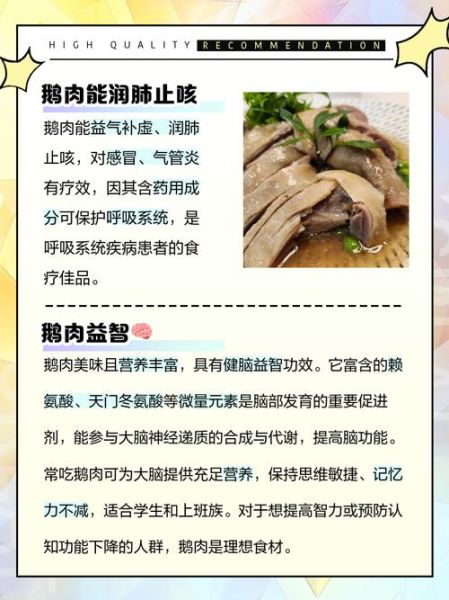 鹅肉的功效与作用_鹅肉怎么吃最营养-第1张图片-山城妙识
