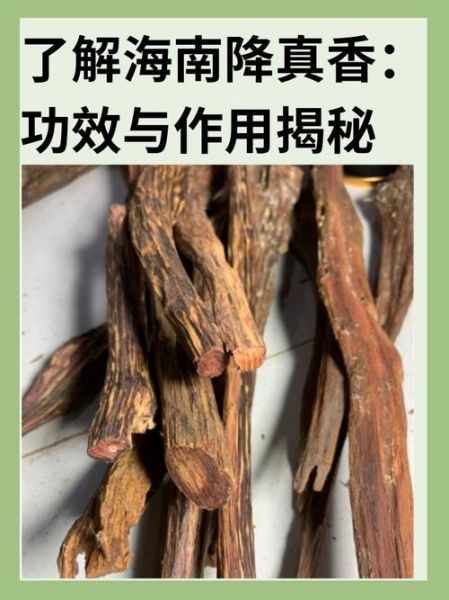 降香的功效与作用_降香怎么用效果最好-第2张图片-山城妙识 降香的功效与作用_降香怎么用效果最好-第2张图片-山城妙识