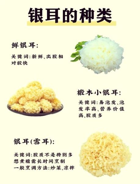 银耳吃了容易湿气重吗_湿气重的人能吃银耳吗-第2张图片-山城妙识 银耳吃了容易湿气重吗_湿气重的人能吃银耳吗-第2张图片-山城妙识