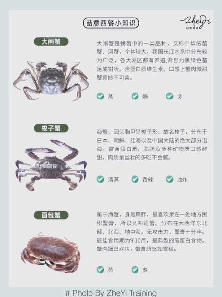 海边常见螃蟹有哪些_怎么区分-第3张图片-山城妙识