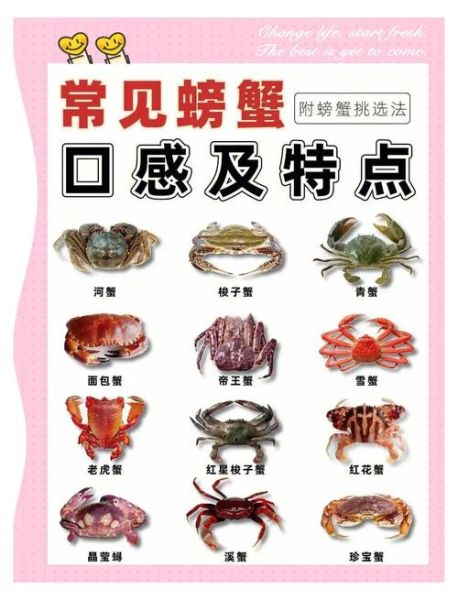 海边常见螃蟹有哪些_怎么区分-第1张图片-山城妙识