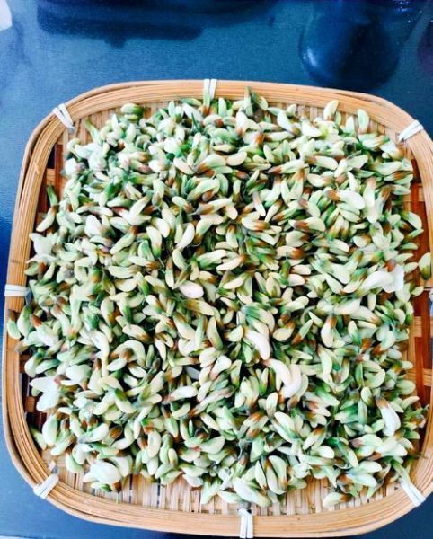 焯水冷冻的槐花怎么吃_槐花解冻后怎么做好吃-第1张图片-山城妙识