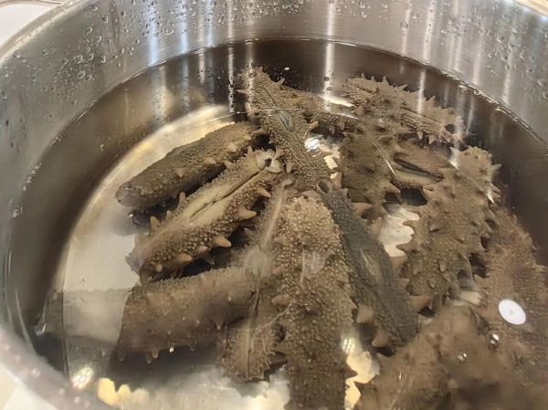 湿海参怎么泡发最好_湿海参泡发多久才软-第3张图片-山城妙识