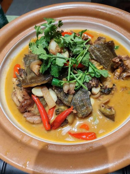 甲鱼怎么烧最好吃_甲鱼炖汤还是红烧更鲜美-第2张图片-山城妙识 甲鱼怎么烧最好吃_甲鱼炖汤还是红烧更鲜美-第2张图片-山城妙识