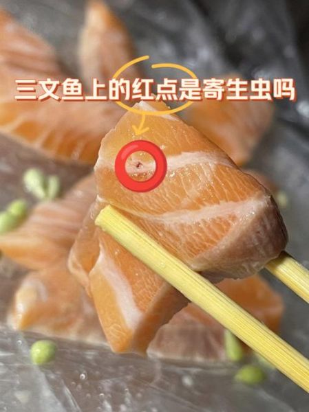 三文鱼寄生虫_生吃安全吗-第1张图片-山城妙识