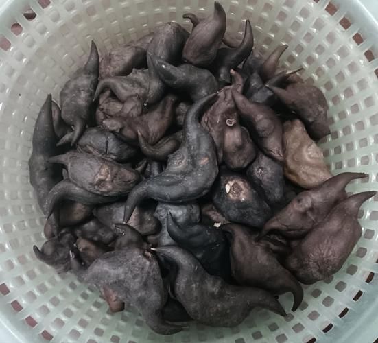 水煮菱角要不要放盐_怎么煮才入味-第2张图片-山城妙识 水煮菱角要不要放盐_怎么煮才入味-第2张图片-山城妙识