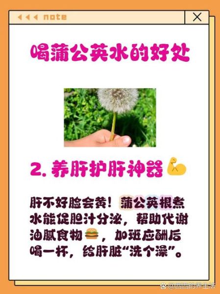 蒲公英能治肝病吗_蒲公英对肝脏的作用-第3张图片-山城妙识