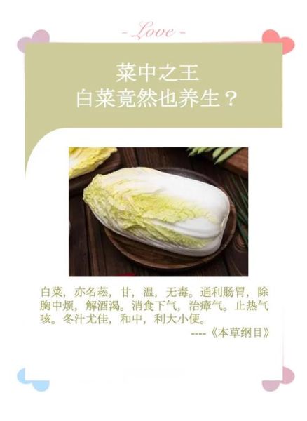 白菜的营养价值高吗_白菜有哪些营养成分-第1张图片-山城妙识