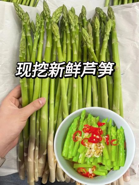 绿芦笋怎么挑选_绿芦笋的营养价值-第3张图片-山城妙识 绿芦笋怎么挑选_绿芦笋的营养价值-第3张图片-山城妙识