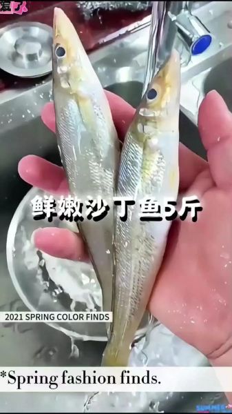 沙丁鱼图片大全大图_如何挑选高清沙丁鱼壁纸-第1张图片-山城妙识