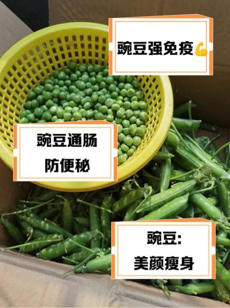 碗豆怎么做好吃_碗豆的家常做法大全-第3张图片-山城妙识 碗豆怎么做好吃_碗豆的家常做法大全-第3张图片-山城妙识