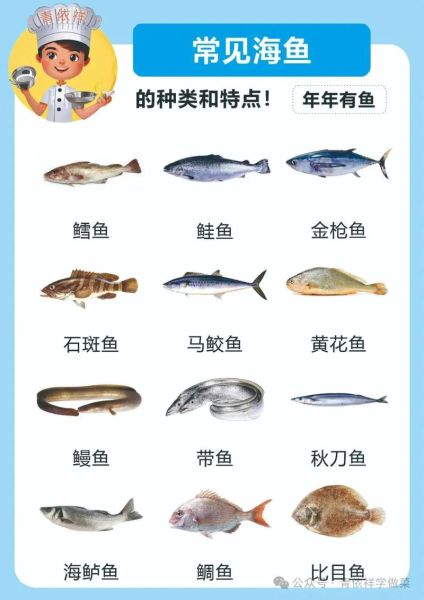 市场上常见的海鱼有哪些_海鱼种类及价格-第3张图片-山城妙识