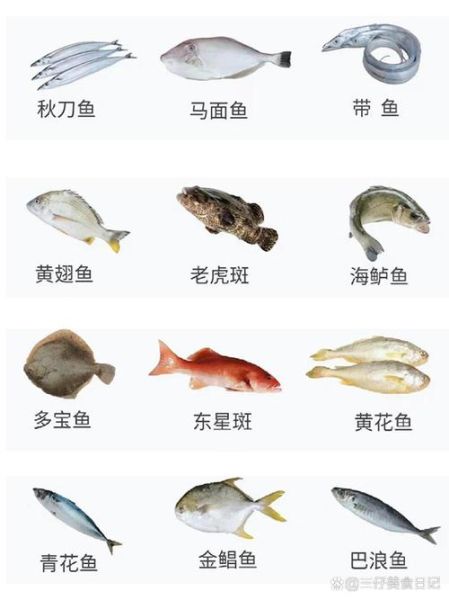 市场上常见的海鱼有哪些_海鱼种类及价格-第2张图片-山城妙识