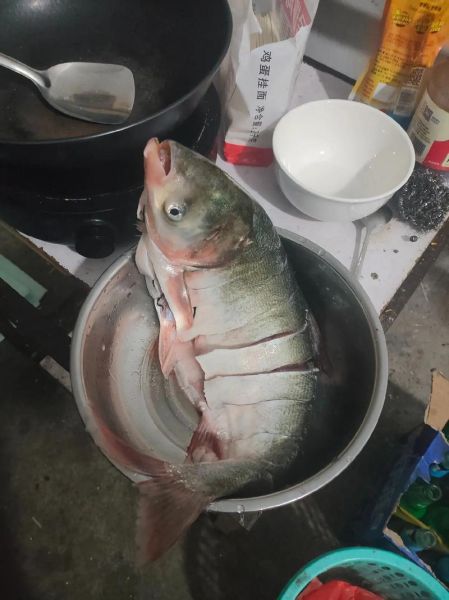 白鲢鱼怎么做好吃_白鲢鱼多少钱一斤-第2张图片-山城妙识