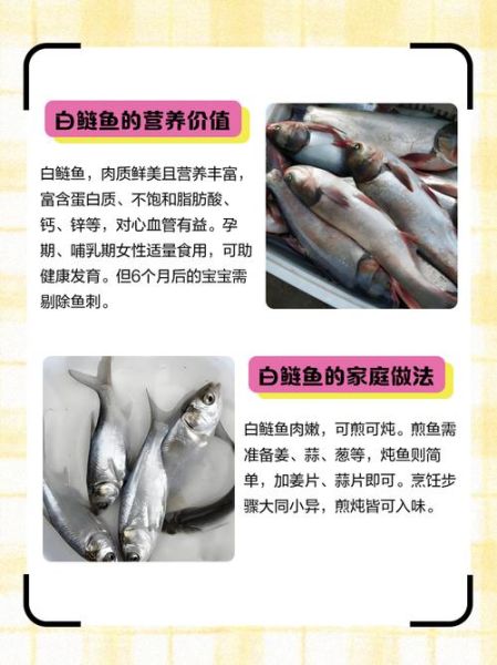 白鲢鱼怎么做好吃_白鲢鱼多少钱一斤-第1张图片-山城妙识