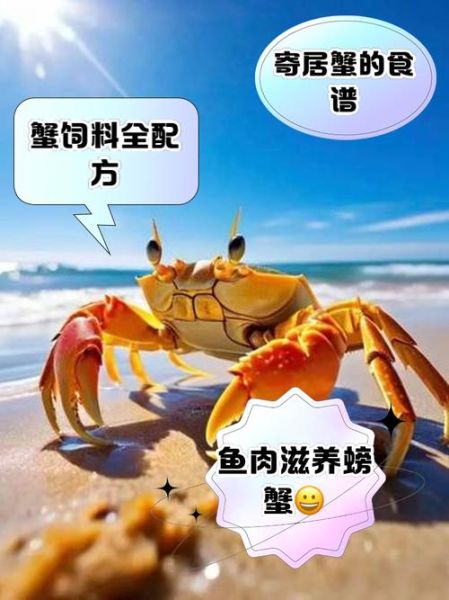 家养螃蟹吃什么食物好养活_新手养蟹喂什么-第2张图片-山城妙识