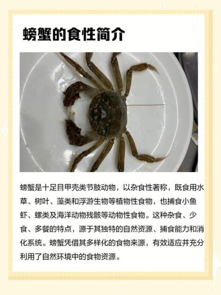 家养螃蟹吃什么食物好养活_新手养蟹喂什么-第3张图片-山城妙识
