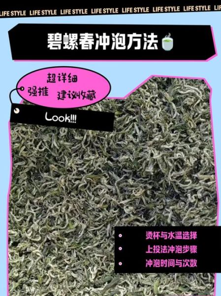 碧螺春多少钱一斤_碧螺春怎么泡-第3张图片-山城妙识