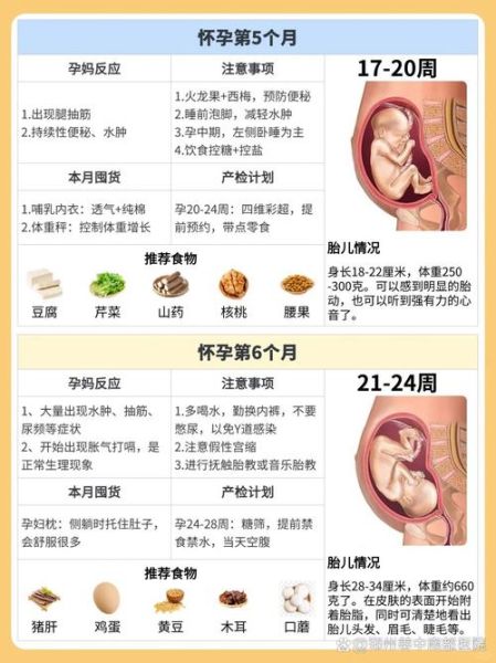 早孕孕妇吃什么好_孕早期饮食注意事项-第1张图片-山城妙识 早孕孕妇吃什么好_孕早期饮食注意事项-第1张图片-山城妙识