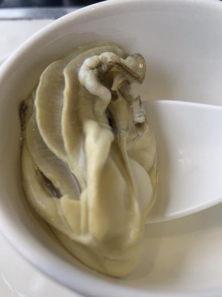 生蚝像女生下面_是真的吗-第2张图片-山城妙识