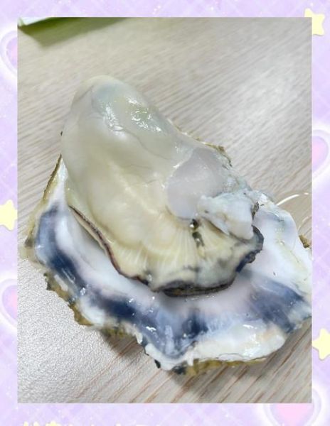 生蚝像女生下面_是真的吗-第3张图片-山城妙识