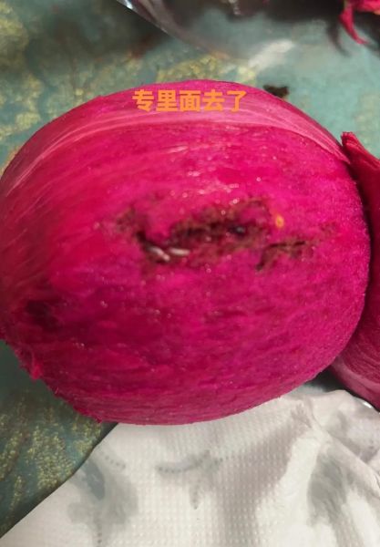 火龙果皮烂了还能吃吗_火龙果皮发霉了怎么处理-第3张图片-山城妙识 火龙果皮烂了还能吃吗_火龙果皮发霉了怎么处理-第3张图片-山城妙识