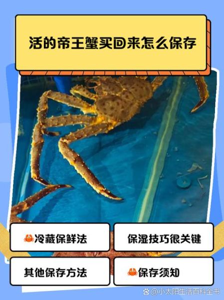 活帝王蟹怎么保存_活帝王蟹怎么吃最好-第1张图片-山城妙识 活帝王蟹怎么保存_活帝王蟹怎么吃最好-第1张图片-山城妙识