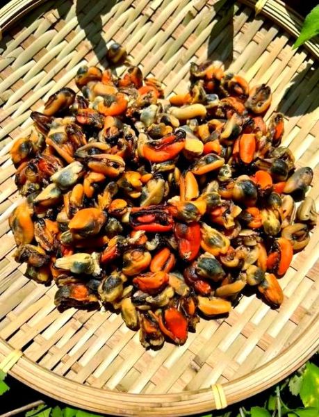 淡菜干怎么清洗图解_淡菜干清洗方法图解-第1张图片-山城妙识 淡菜干怎么清洗图解_淡菜干清洗方法图解-第1张图片-山城妙识