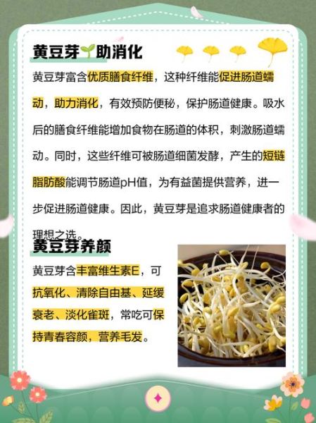 黄豆芽的功效与作用_黄豆芽怎么吃最营养-第2张图片-山城妙识 黄豆芽的功效与作用_黄豆芽怎么吃最营养-第2张图片-山城妙识
