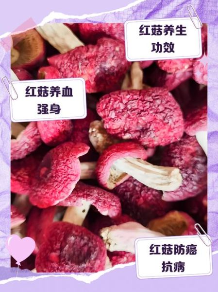 红菇的功效与作用_红菇的禁忌人群有哪些-第1张图片-山城妙识