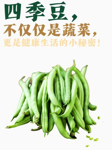 四季豆的营养价值与禁忌_四季豆怎么吃不中毒-第1张图片-山城妙识