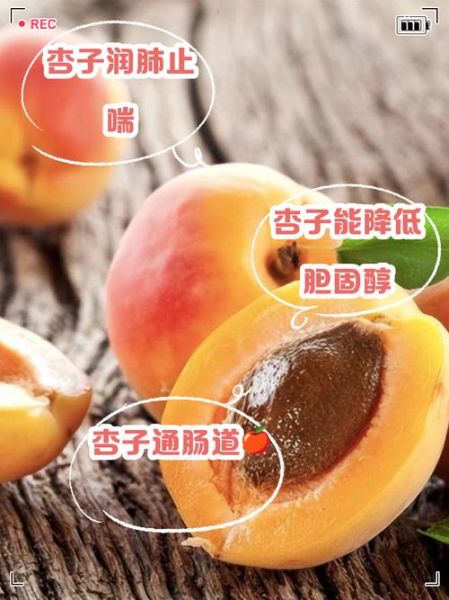 杏子的功效与作用及禁忌_杏子吃多了有什么副作用-第2张图片-山城妙识
