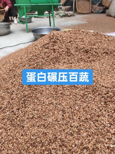 香椿树的种子怎么种_香椿种子几月播种最好-第3张图片-山城妙识