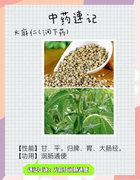 火麻油怎么吃治便秘_火麻油治便秘的正确用量-第2张图片-山城妙识 火麻油怎么吃治便秘_火麻油治便秘的正确用量-第2张图片-山城妙识