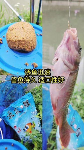 鲤鱼怎么钓_野钓鲤鱼用什么饵-第3张图片-山城妙识