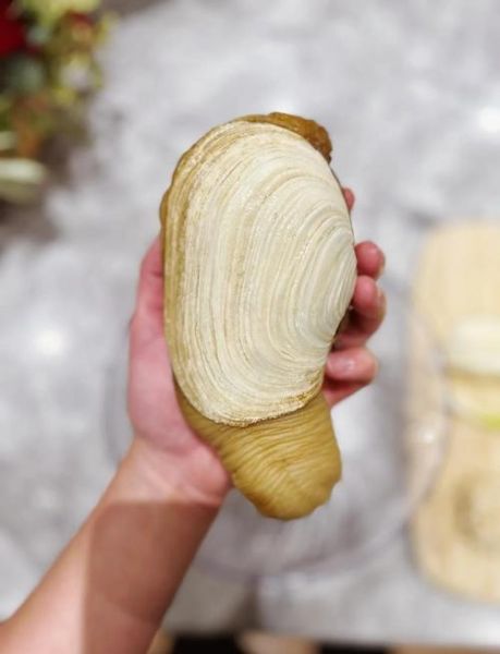 象拔蚌怎么吃最补_象拔蚌最补的吃法-第1张图片-山城妙识