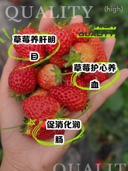 吃草莓的好处和坏处_草莓吃多了会上火吗-第1张图片-山城妙识