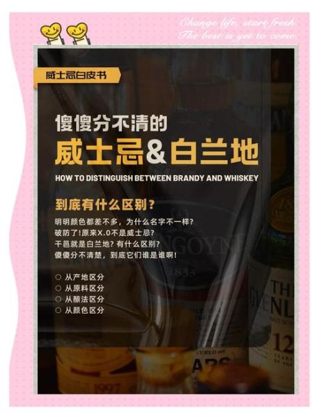 白兰地和威士忌的区别_如何区分白兰地和威士忌-第1张图片-山城妙识