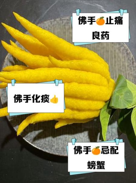 佛手副作用_佛手禁忌人群-第2张图片-山城妙识
