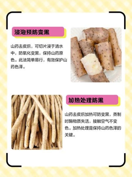 山药怎么挑选_山药去皮后变黑怎么办-第1张图片-山城妙识