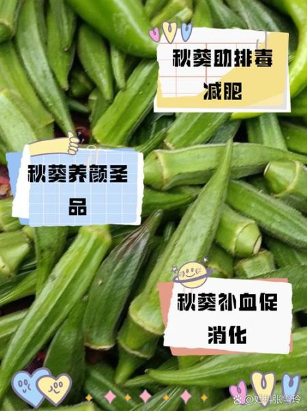 女人吃秋葵有什么好处_女人吃秋葵能减肥吗-第3张图片-山城妙识