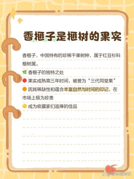 香榧子怎么读_香榧子是什么-第1张图片-山城妙识 香榧子怎么读_香榧子是什么-第1张图片-山城妙识