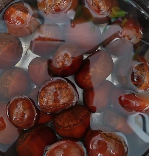 水煮板栗怎么做好吃_水煮板栗要不要提前泡水-第1张图片-山城妙识